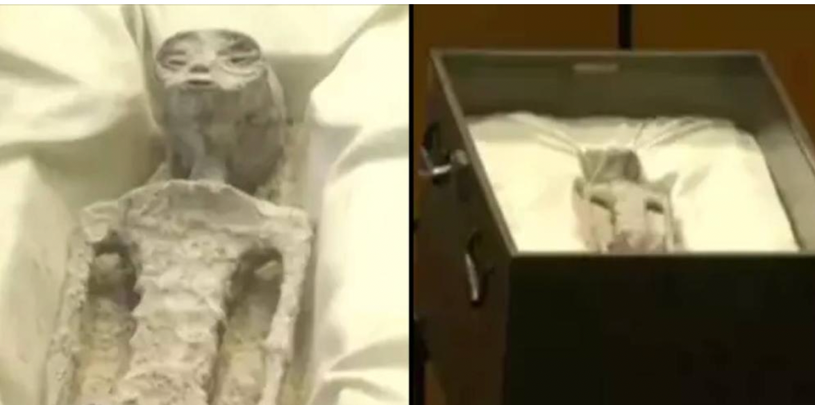 ‘Alien Corpses’ found to have 30% DNA of ‘Unknown Species’ - The Hook news