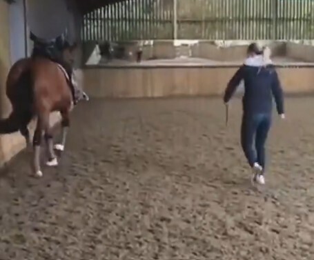 Person Who Leaked Olympic Horse Whipping Video Explains ‘Real Reason ...