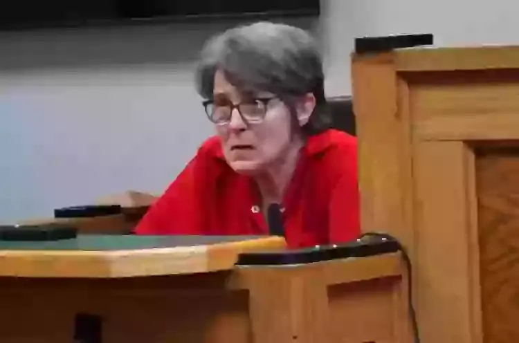 Grandmother Sentenced After Baby Left In Hot Car Dies Less Than A Year ...