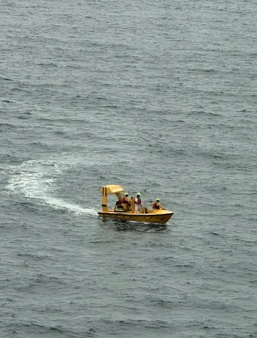 Dad Jumps Overboard To Save Daughter After She Fell From Disney Cruise ...